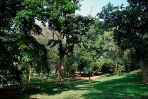 Entebbe - Explore Uganda